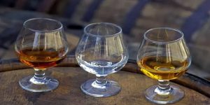 De qué está hecho el ron y cuál es su origen - AlimentosWiki.com